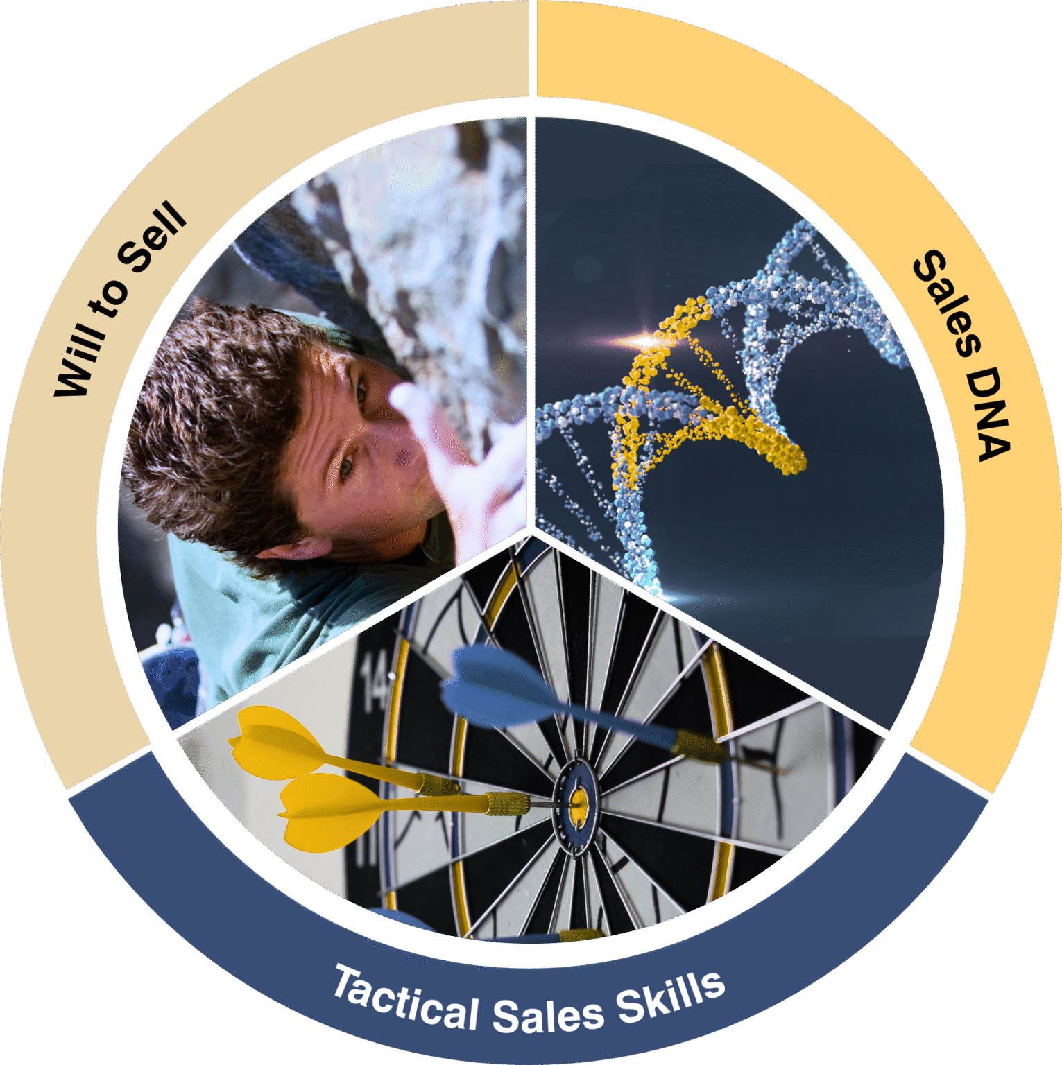 Sales IMPACT Analysis – mehr Erfolg im Verkauf | benefitIMPACT